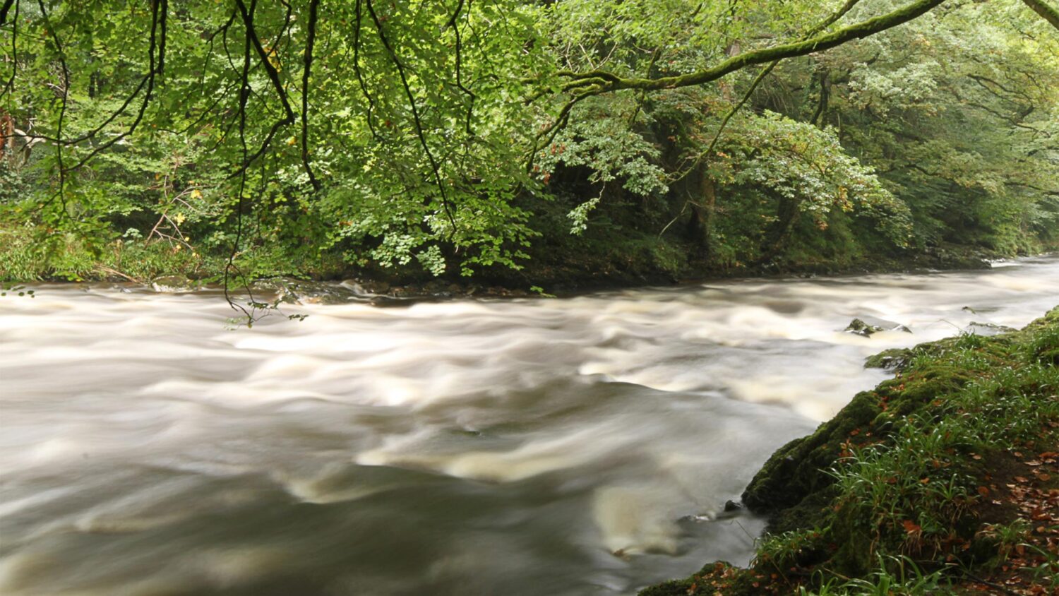 The Cott Inn - Set in an Area of Outstanding Natural Beauty