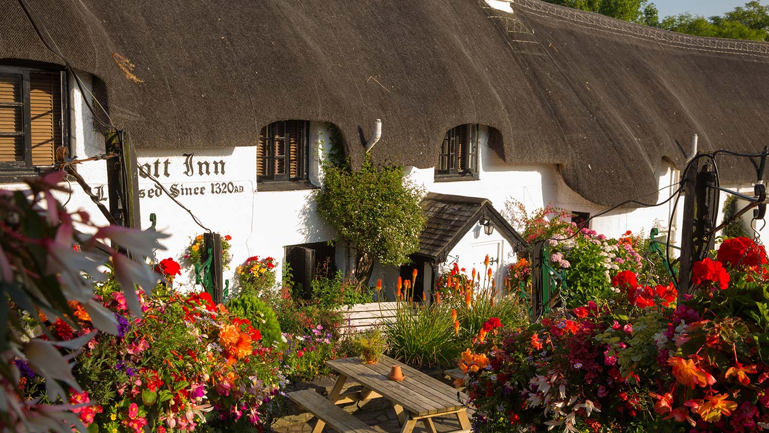 The Cott Inn, Dartington - a Beautiful Pub with Fine Dining and Rooms