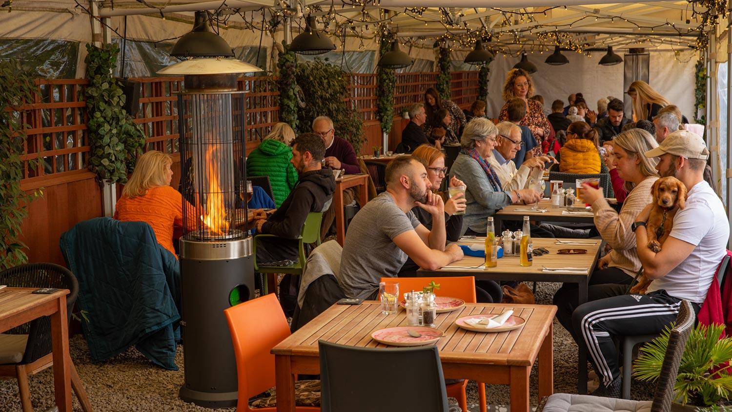 Food & Drink - The Cott Inn