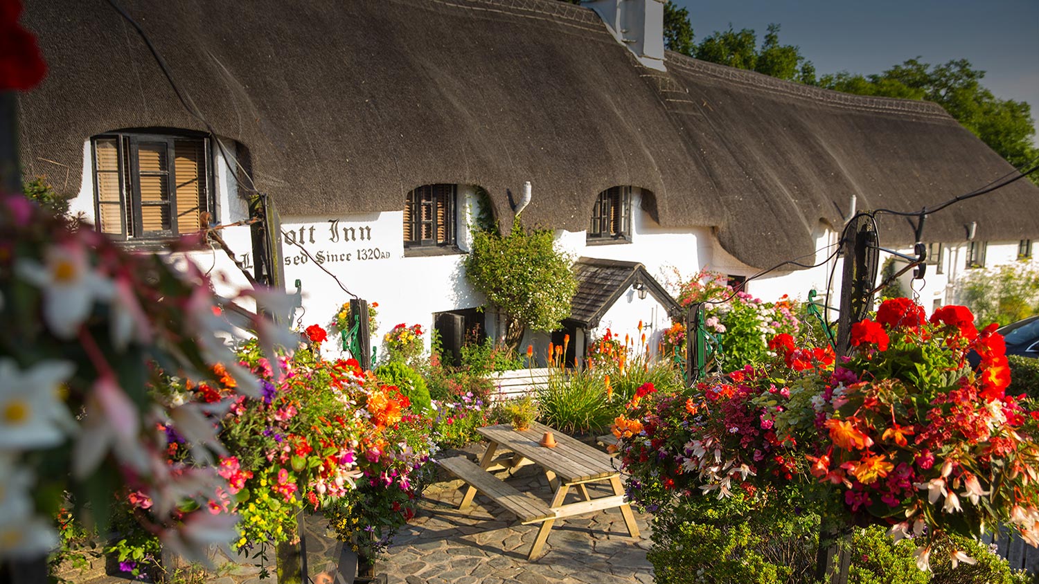 The Cott Inn, Dartington - a Beautiful Pub with Fine Dining and Rooms